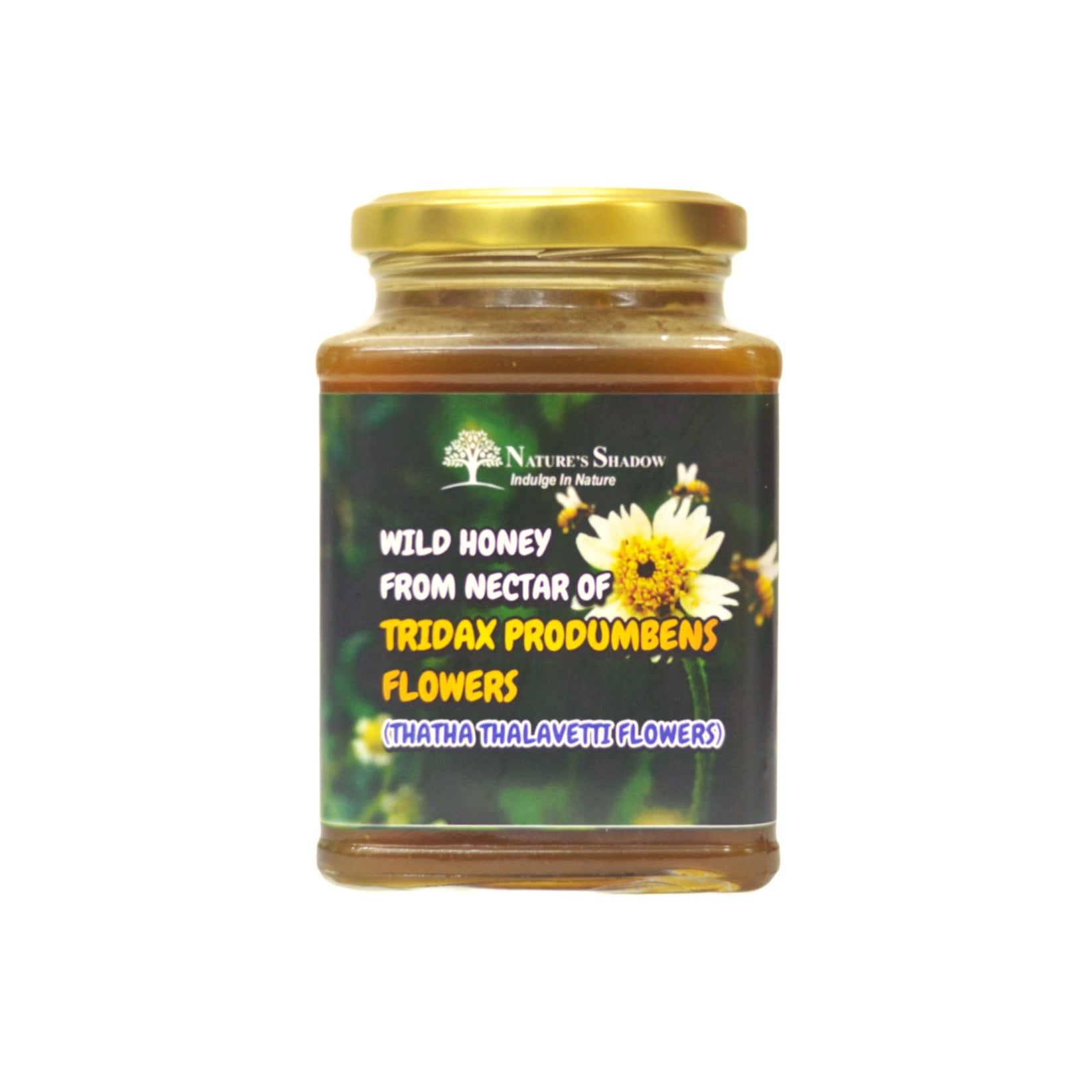 Thatha Thalavetti (Tridax procumbens) Wild Honey – Nature's Shadow